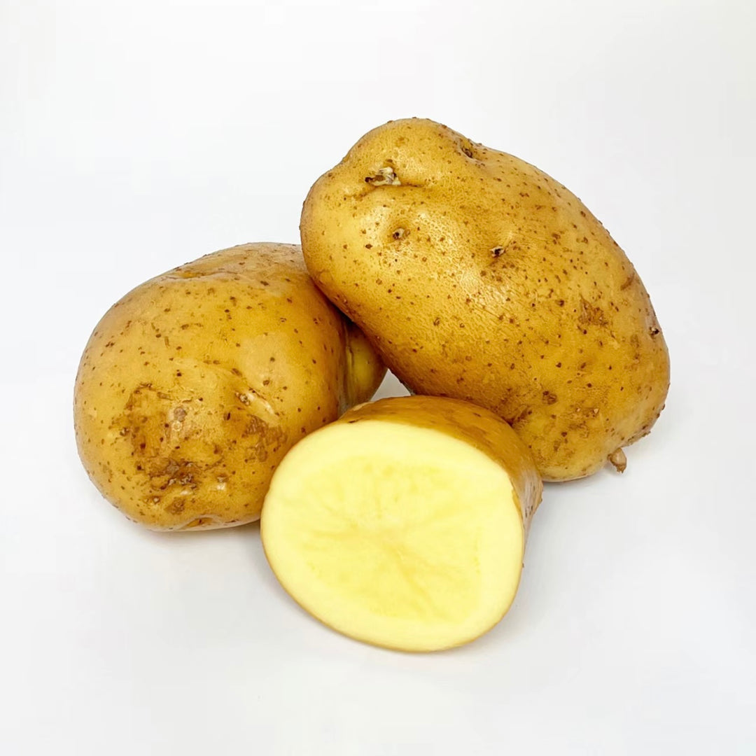 Potato 50LBS/Case – Topfoo