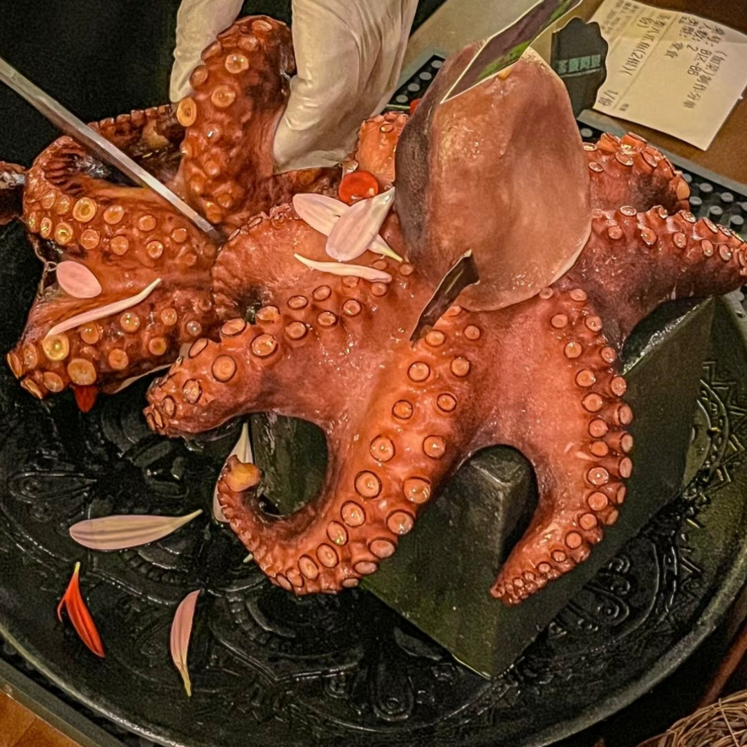 Madako (Octopus)/Case ($14.5/LB) – Topfoo