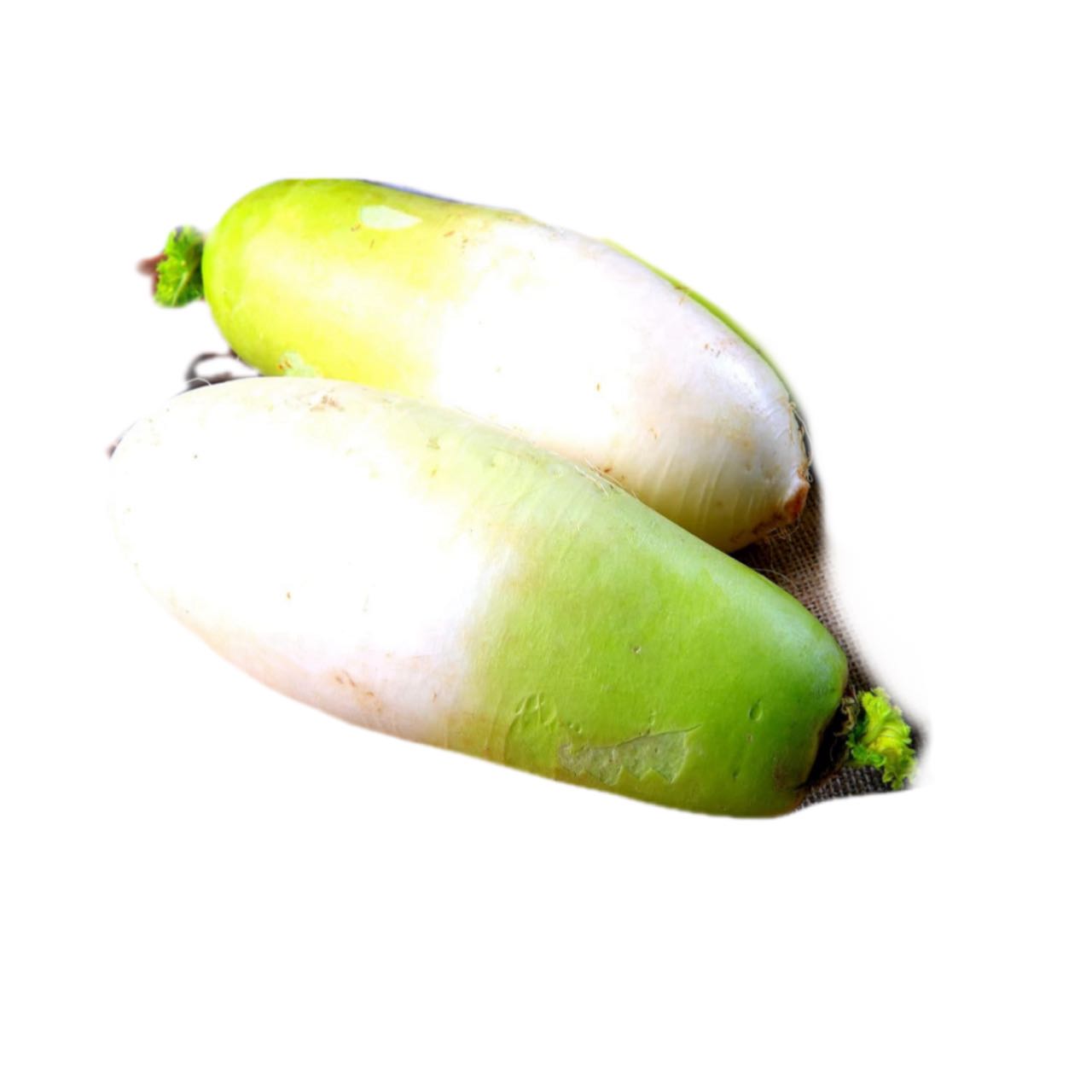 Korean Radish / Case – Topfoo