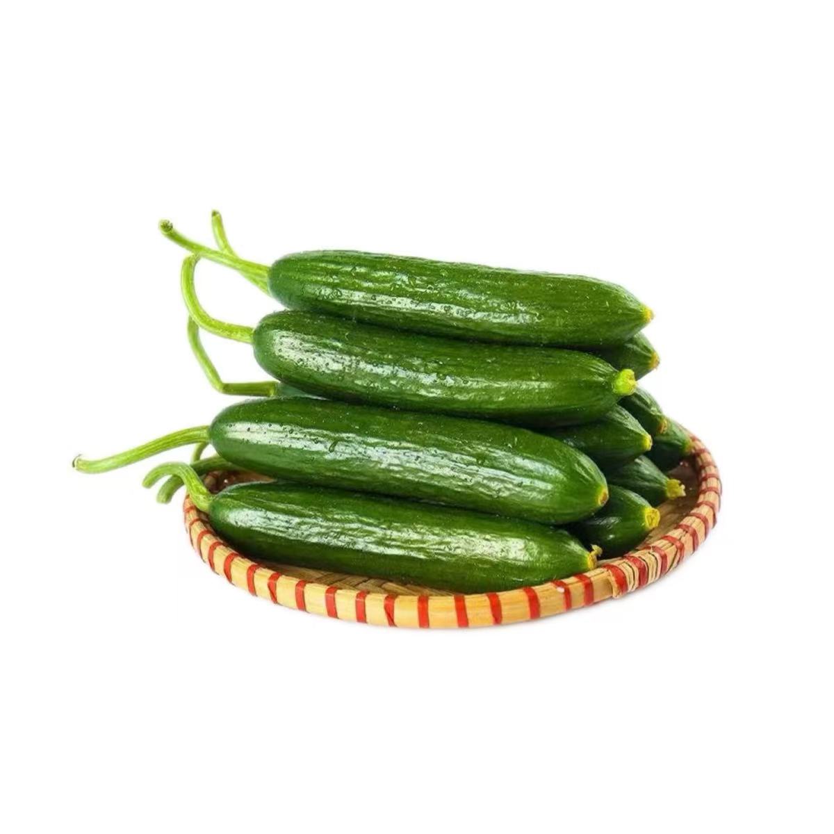 Indian Cucumber 20 LB / Case – Topfoo