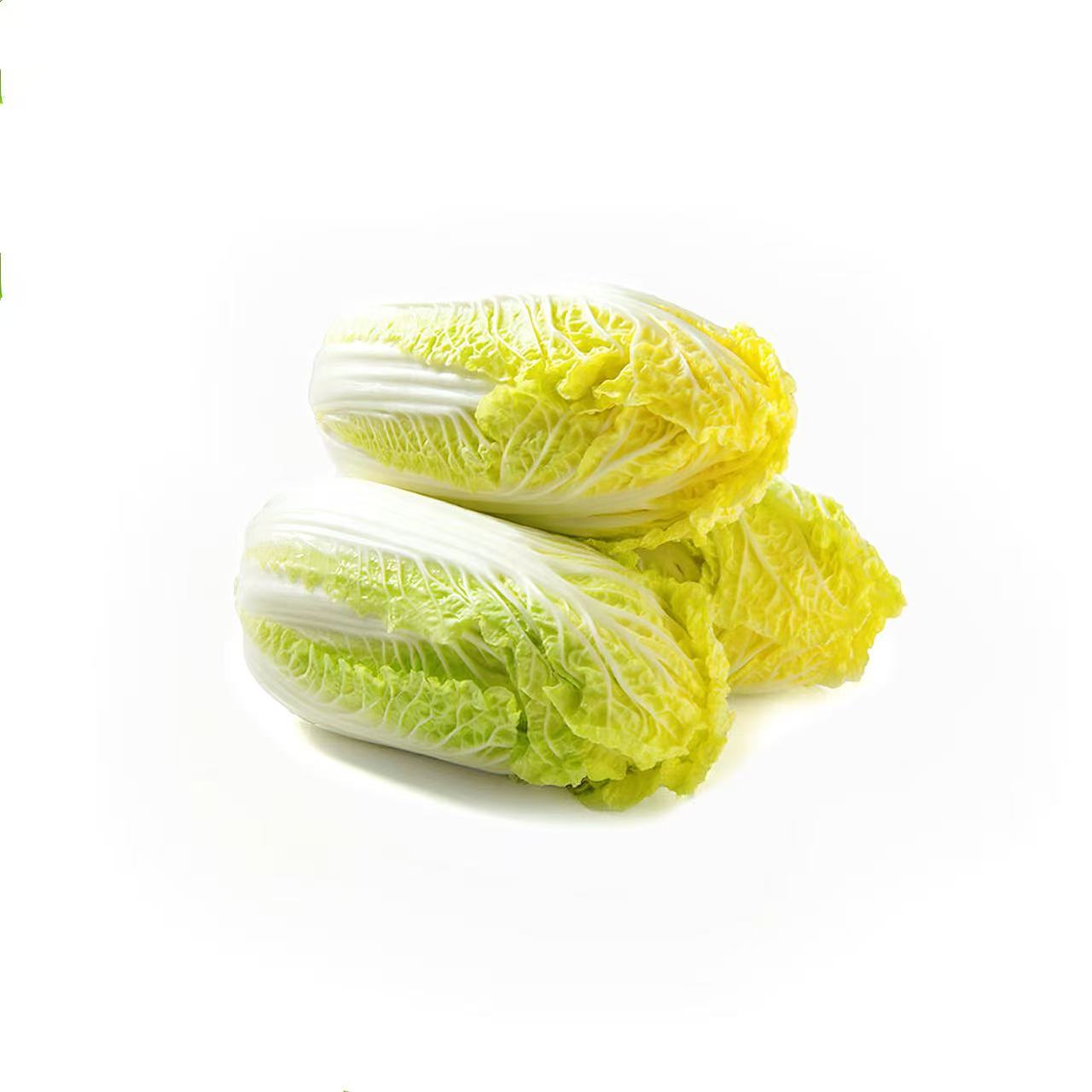 Baby Cabbage / Case – Topfoo