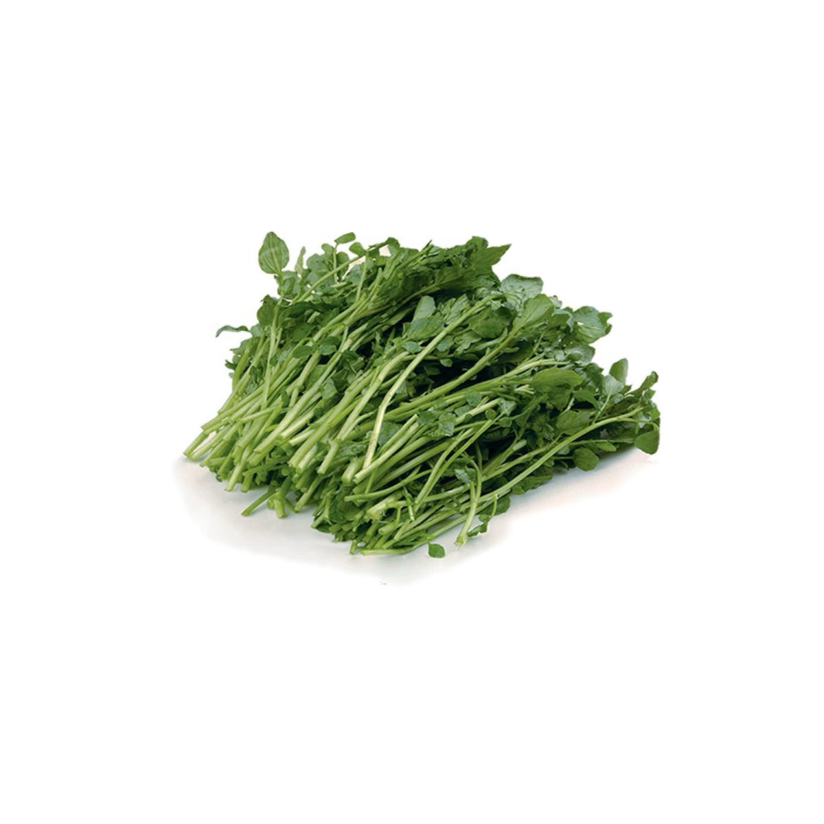 Watercress 24CT/Case – Topfoo