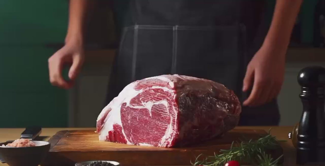 Navel Plate/Case – Topfoo